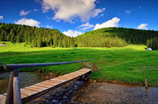 Județul Bihor – o zonă fascinantă a României - Coltisor de Romania