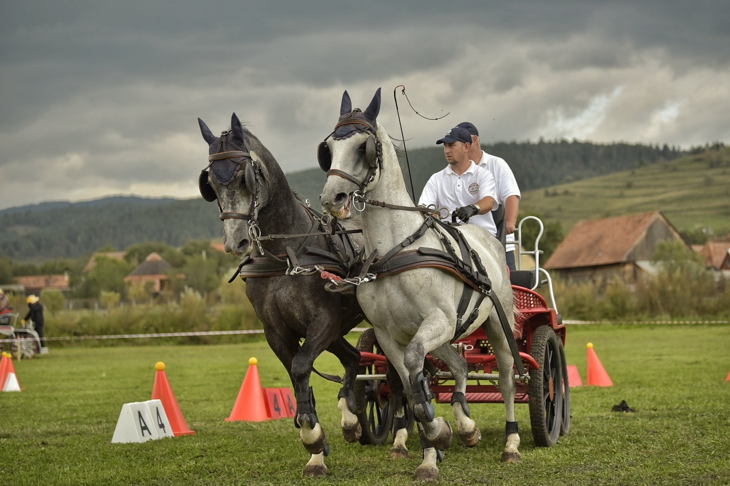 Invitație la o plimbare cu căruța în zona Tușnadului - Coltisor de Romania