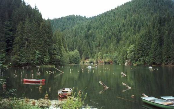 Lacul Roșu - un adevărat paradis pentru recreere și odihnă - Coltisor ...