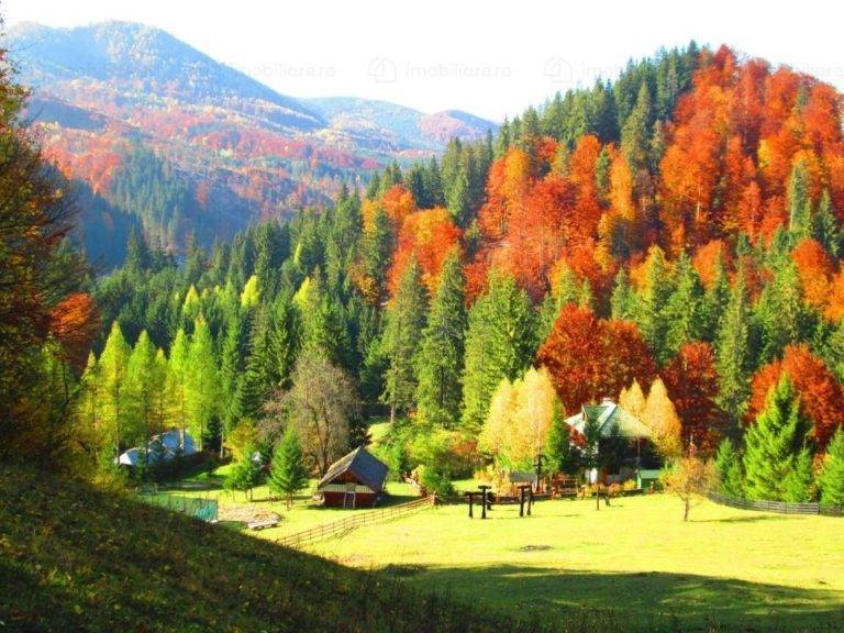 Ați fost vreodată la Lepșa? ”Mica Elveție” din Munții Vrancei ...