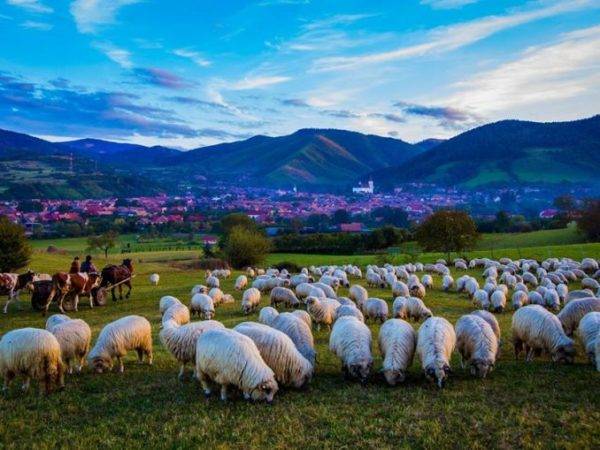 Minunățiile de la Rășinari - Coltisor de Romania