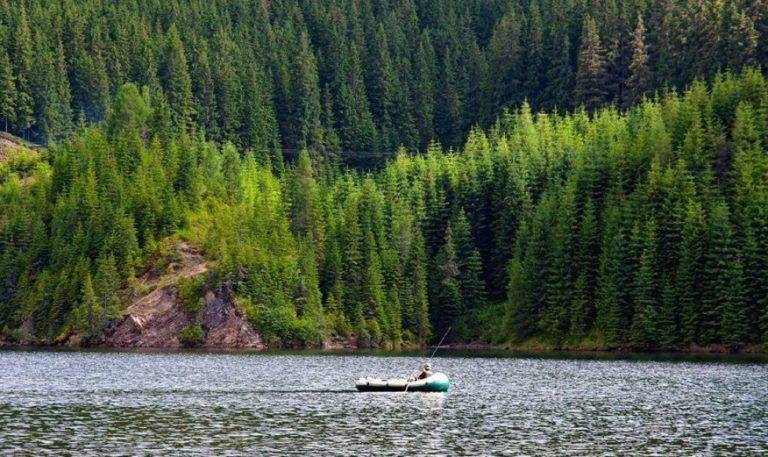 Malaia - un tărâm de basm de pe Valea Lotrului - Coltisor de Romania