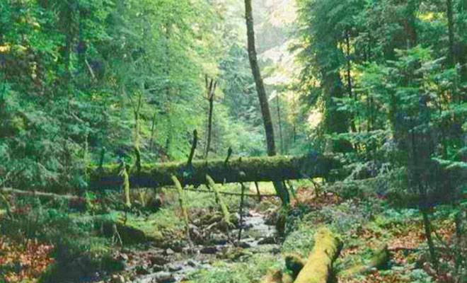 Valea Doftanei - un loc minunat de relaxare - Coltisor de Romania